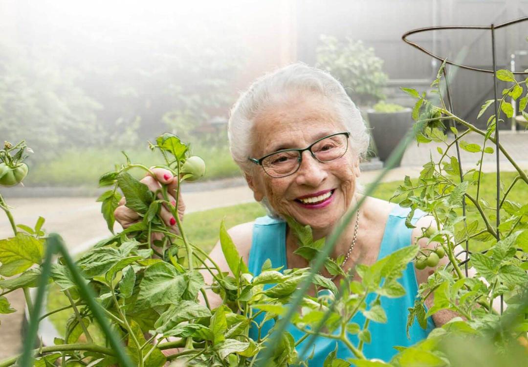 Alzheimer's, Dementia, and Memory Care in Boston | Hebrew SeniorLife