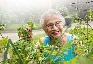 Neuropsychological testing for dementia | Hebrew SeniorLife Blog